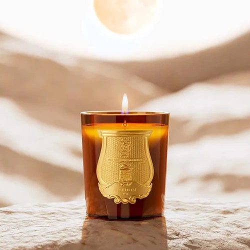 TRUDON Altair Classic Candle Now Available at Amelie & Frank’s – Amelie ...