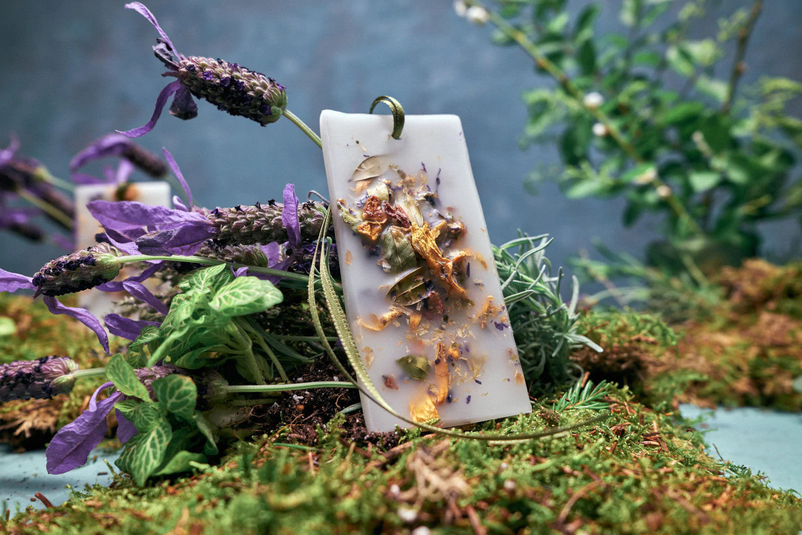 SANTA MARIA NOVELLA Pot Pourri - Scented Wax Tablets – Amelie & Frank's